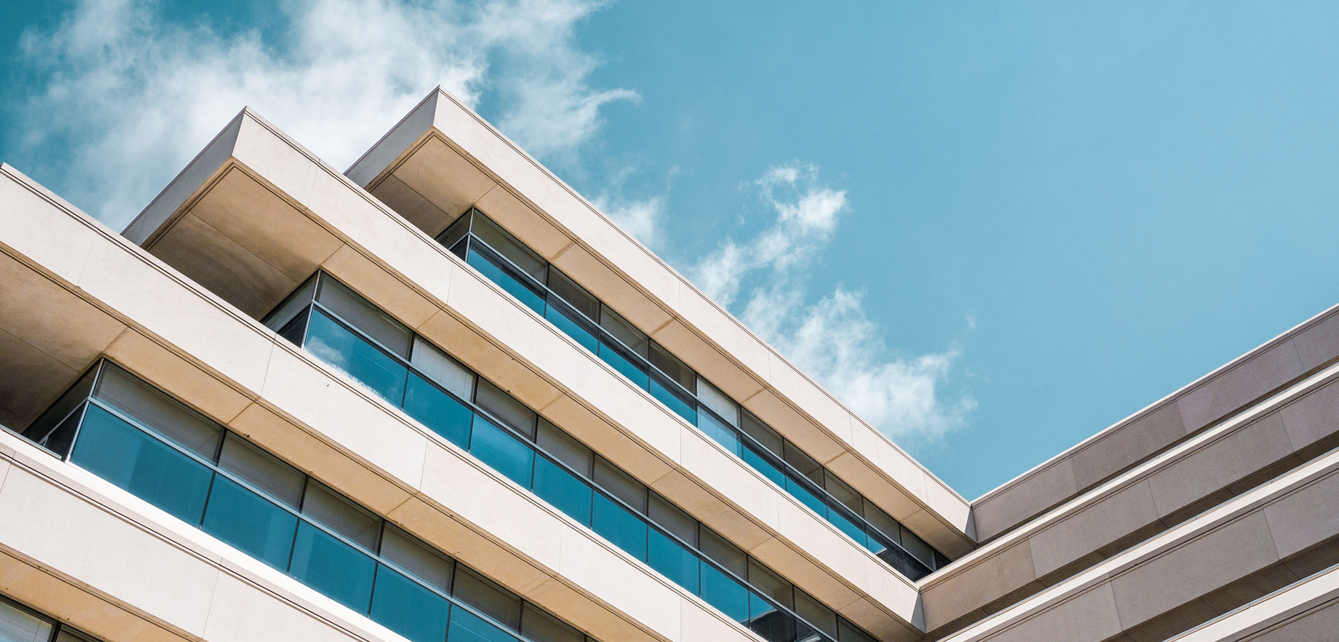 会社案内 ／ Company Information － リアルライフ株式会社 ／ REAL LIFE CORP