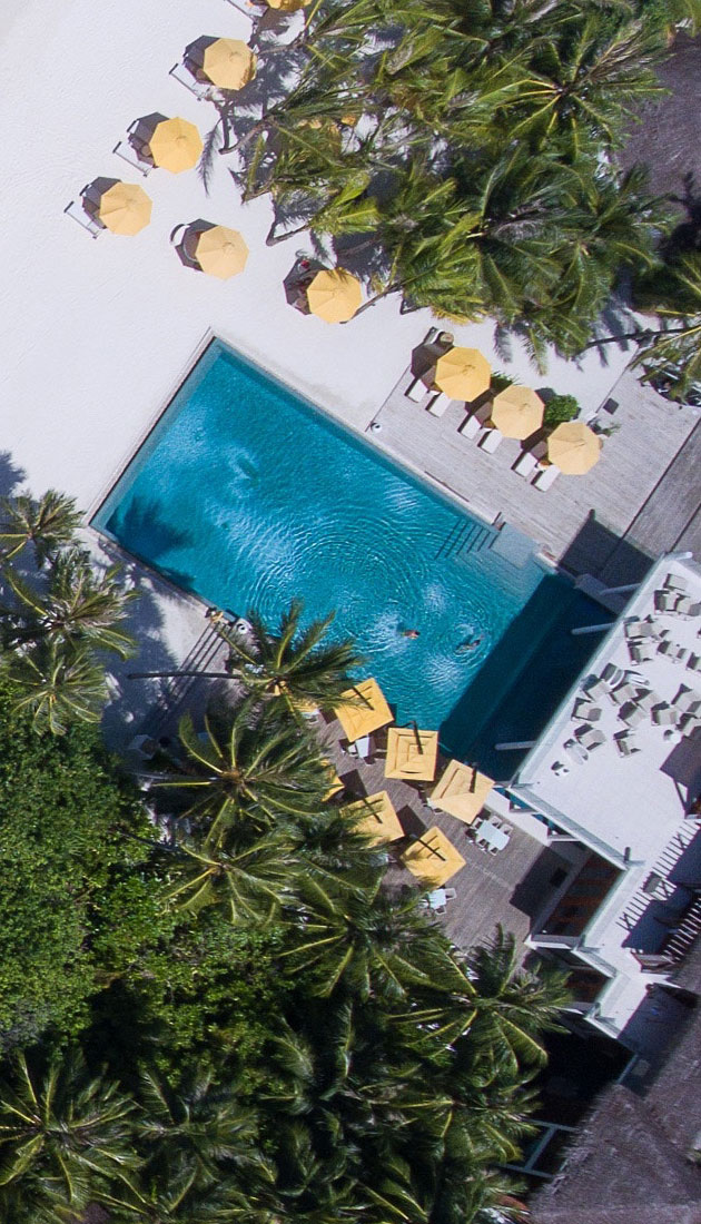 リアルライフ株式会社 ／ REAL LIFE CORP